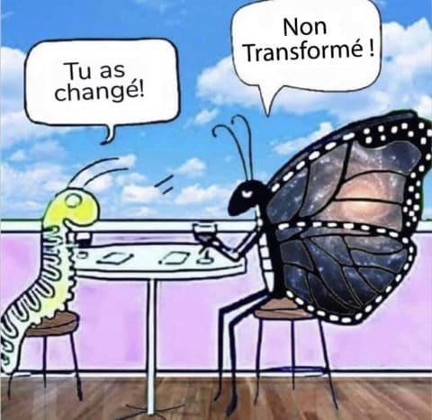 L’Amour de l’Humour | Pierre-Lassalle.org